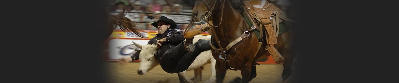 Angola Prison Rodeo Arena Tickets